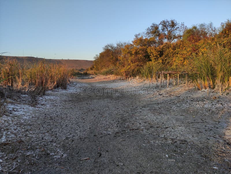 Dried Up Swamp with Mountains in the Background Stock Image - Image of ...