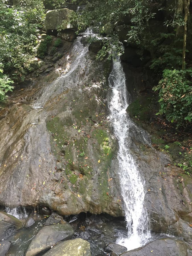 A Dried Up Waterfall from Deforestation Stock Image - Image of green ...