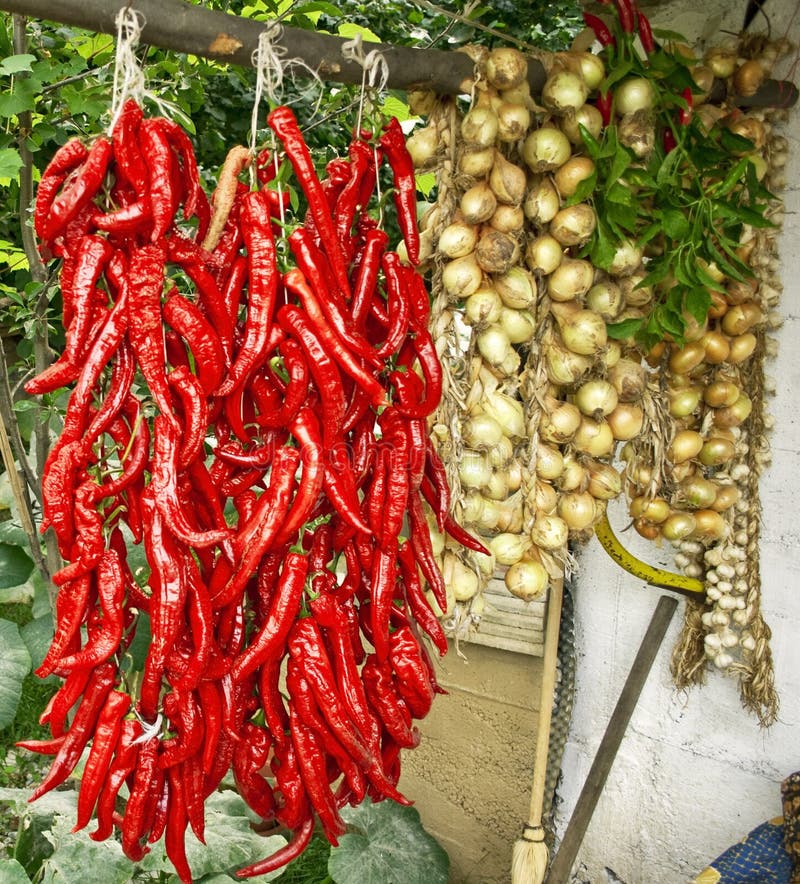 Dried Vegetables - Peppers and Garlic Stock Image - Image of chili ...