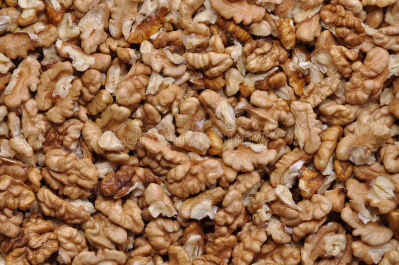 Dried walnuts stock image. Image of organic, brown, notes - 22872455