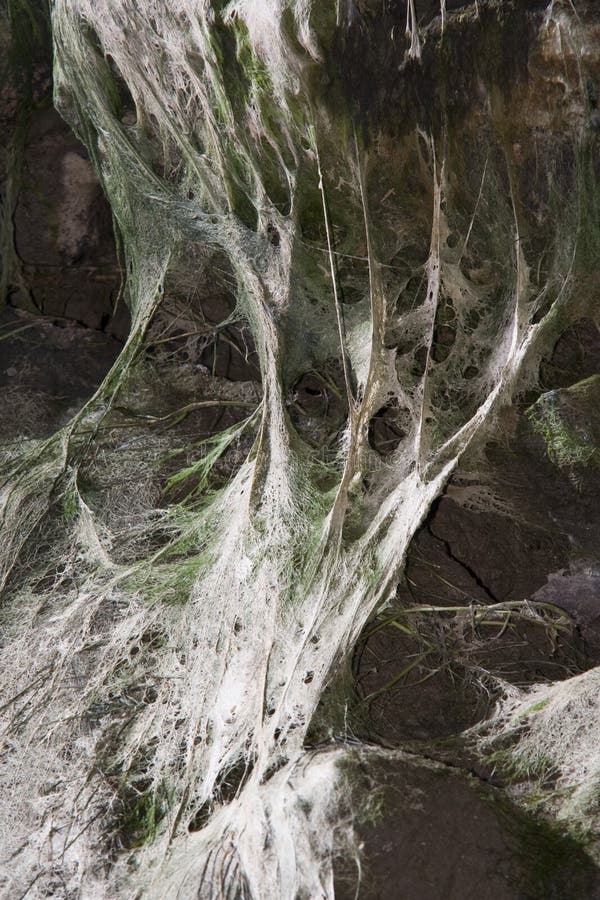 Dried Waterfall stock photo. Image of disaster, environment - 16814368