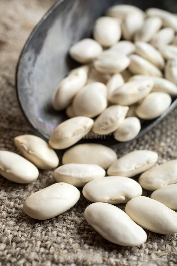 Dried white bean. stock image. Image of vegetarian, scoop - 119449611