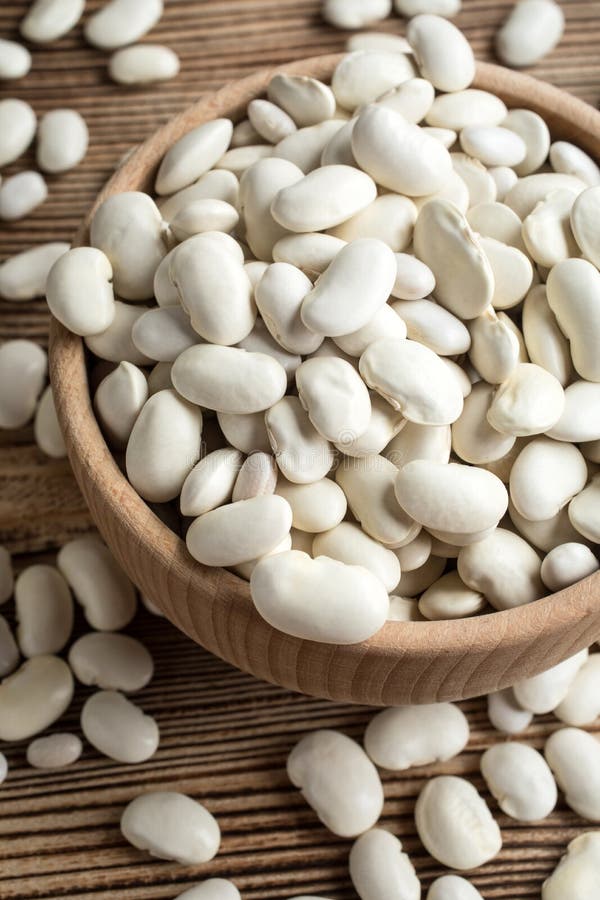 Dried white bean stock image. Image of beans, agriculture - 286787751