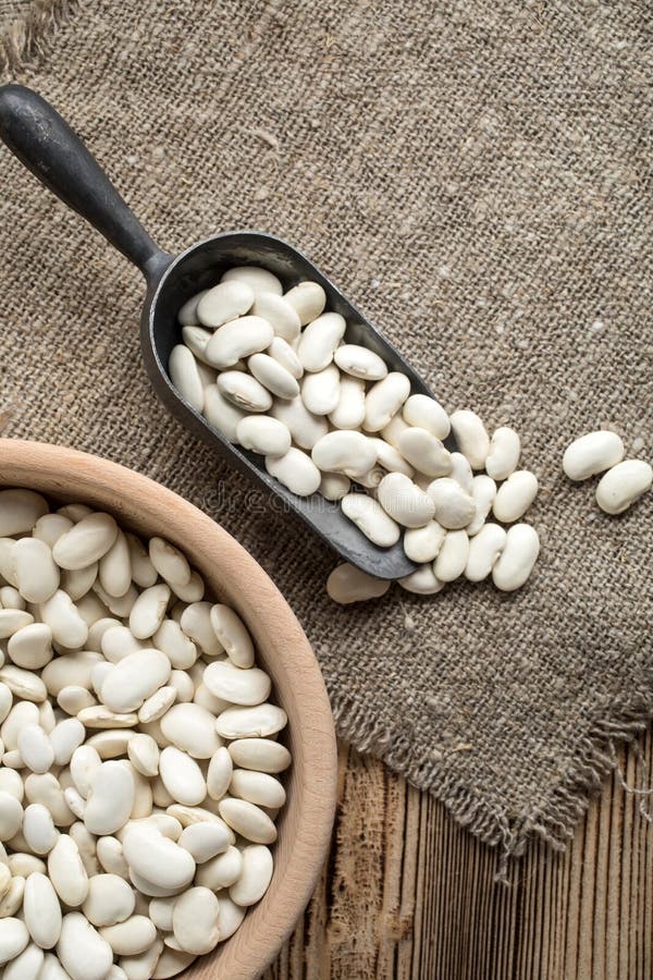 Dried white bean stock image. Image of agriculture, vegetable - 133855205