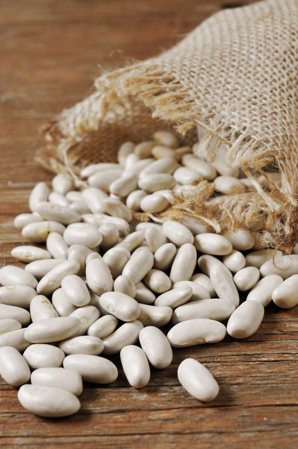 Dried white beans stock image. Image of ingredient, healthy - 42832629