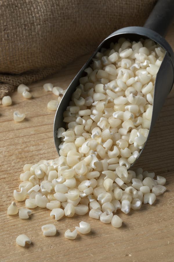 Dried White Corn Seeds on a Metal Scoop Close Up Stock Image - Image of ...