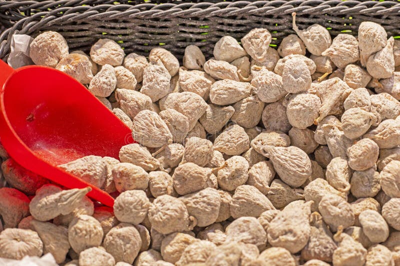 Dried White Figs in Bulk in a Container Stock Photo - Image of sundried ...