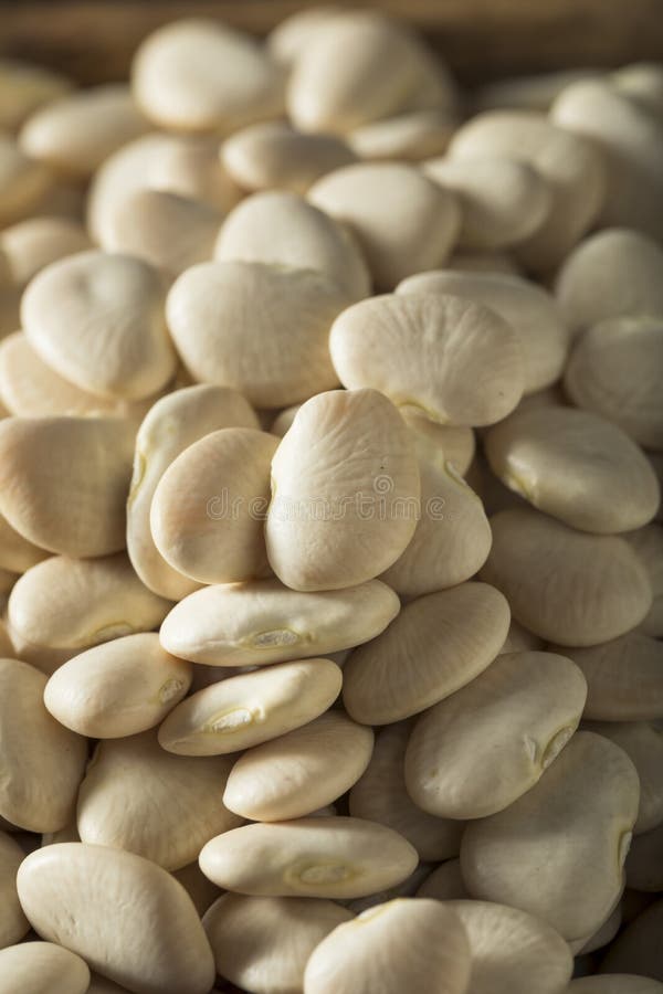 Dried White Organic Baby Lime Beans Stock Photo - Image of healthy ...