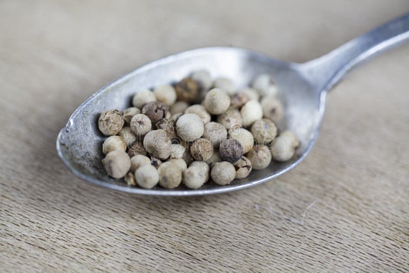 White Pepper stock image. Image of dried, pepper, cooking - 30185623