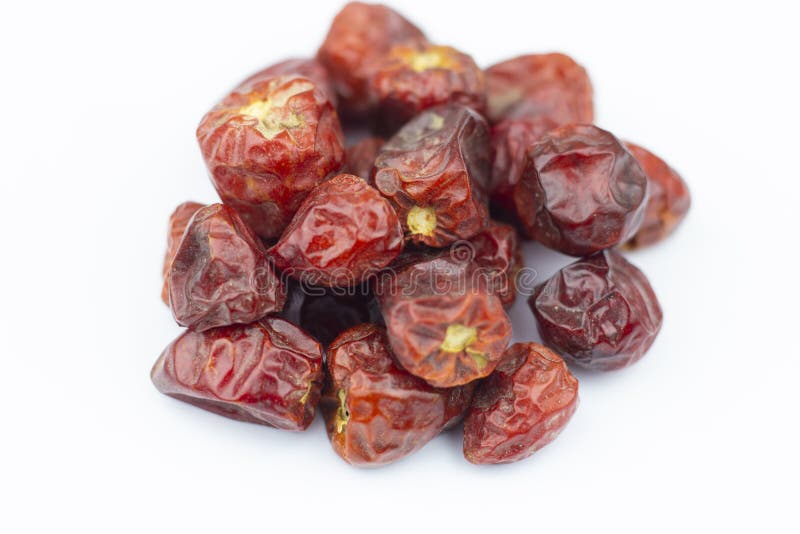 Dried Whole Round Challis from Low Perspective Isolated on White Stock ...