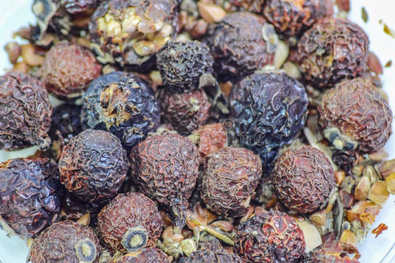 Dried Wild Rose. Dry Fruit of Wild Rose Berries. Stock Image - Image of ...