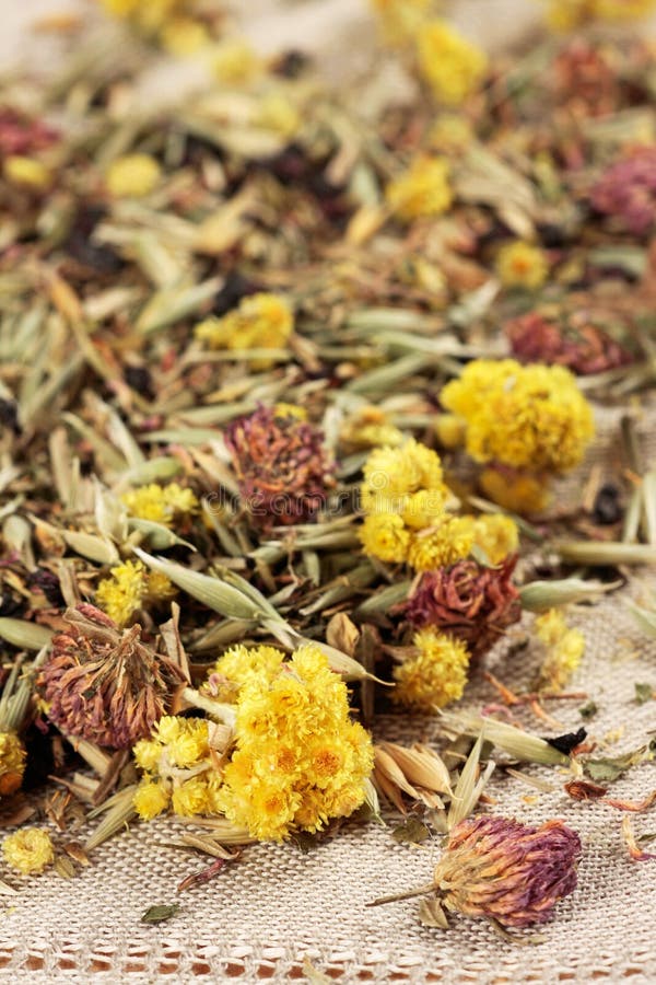 Dried wildflowers tea stock image. Image of taste, nature - 24107017
