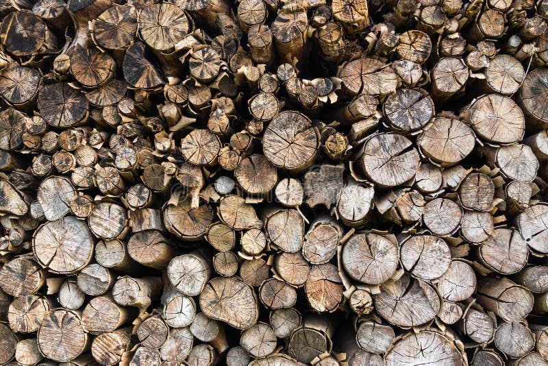 Dried Wood Log Stack Background Stock Photo - Image of timber, dried ...