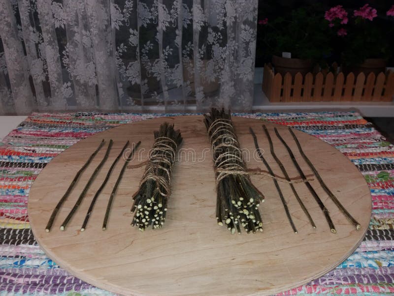 Dried Yarrow Stems for I Ching Divination Stock Photo - Image of herbal ...