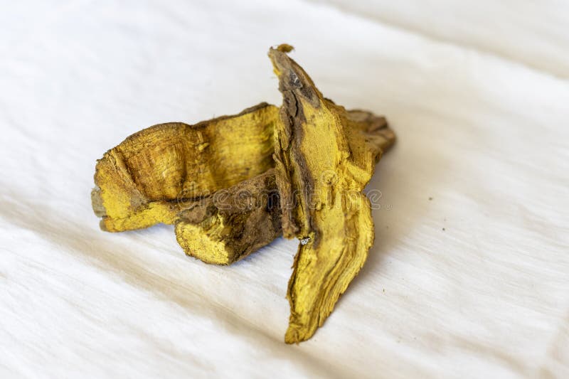 Dried Yellow Root Herb on White Background Stock Photo - Image of ...