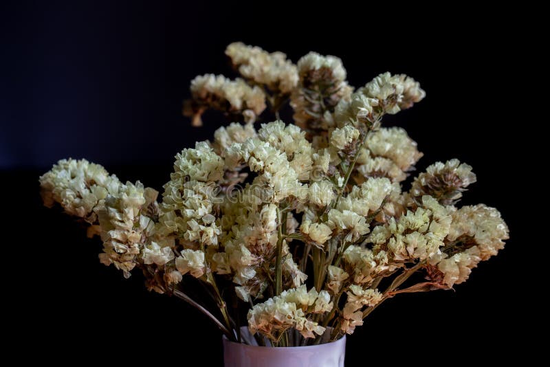 Dried Yellow Statice Flowers in a Vase Stock Photo - Image of ...
