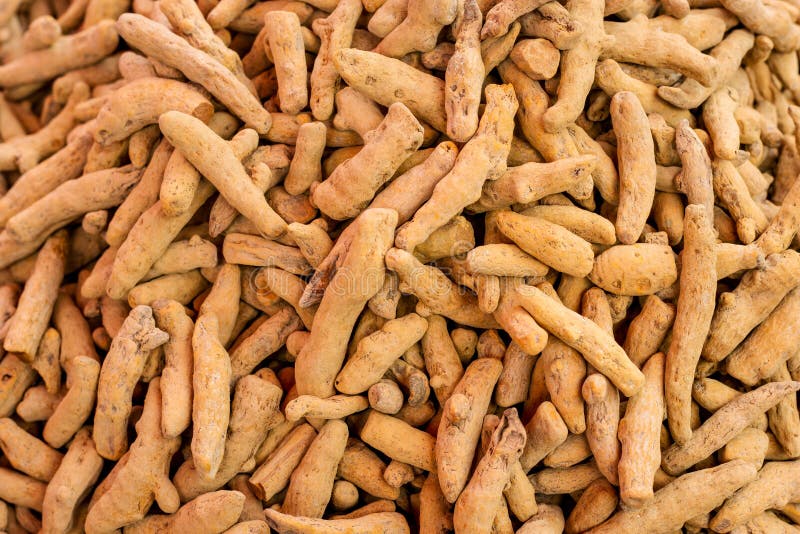 Dried Yellow Turmeric Roots Close Up Top View Stock Image - Image of ...