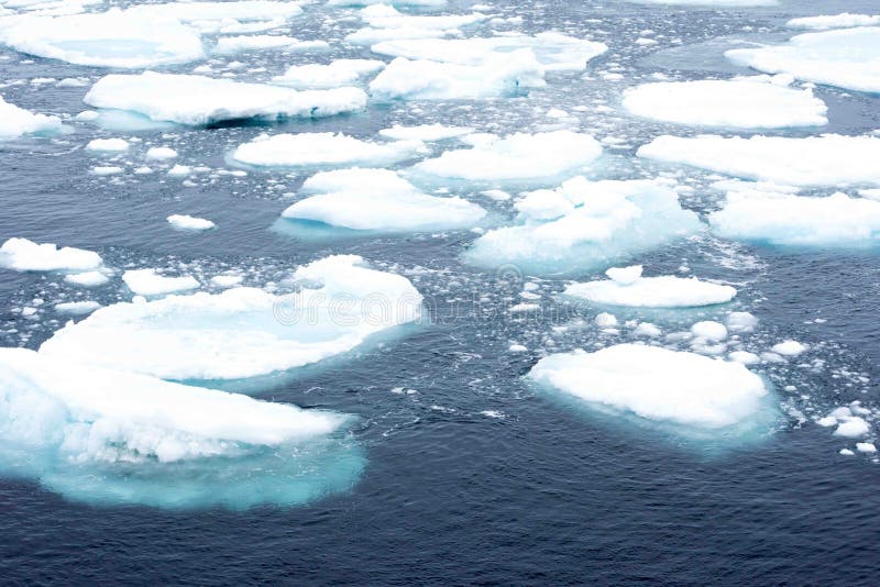 Drift Ice stock image. Image of north, frozen, ocean - 58649155