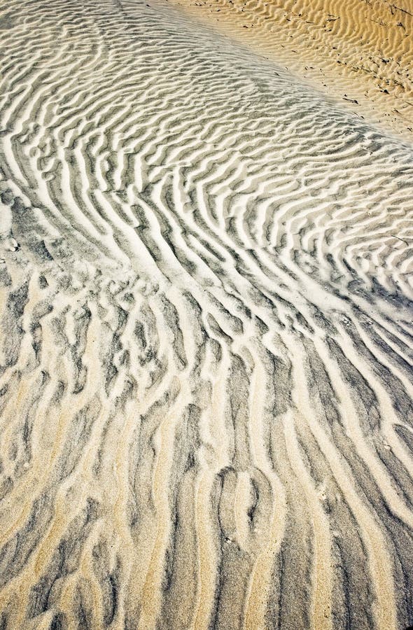 Drift sand texture stock photo. Image of nature, tack - 7338862