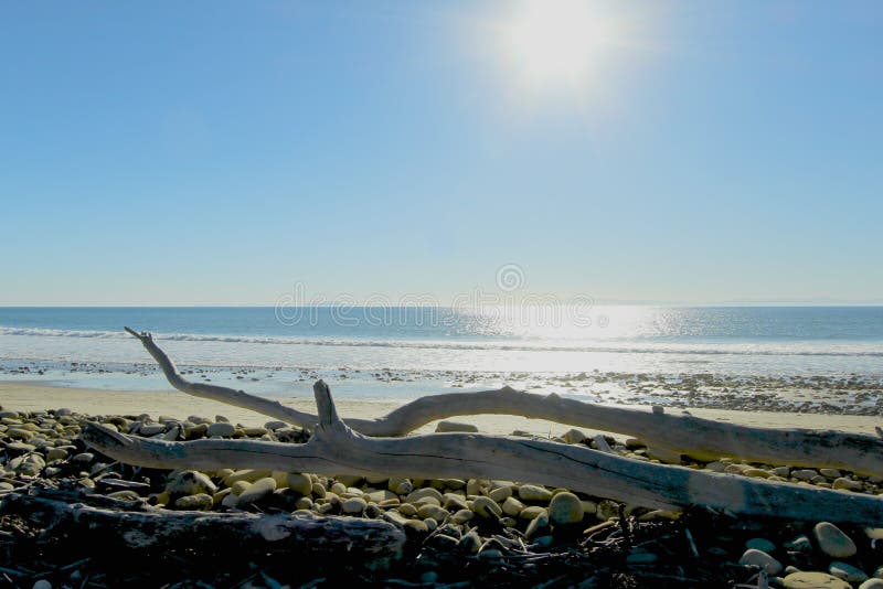 Drift wood ocean sun stock photo. Image of wood, ocean - 36676194