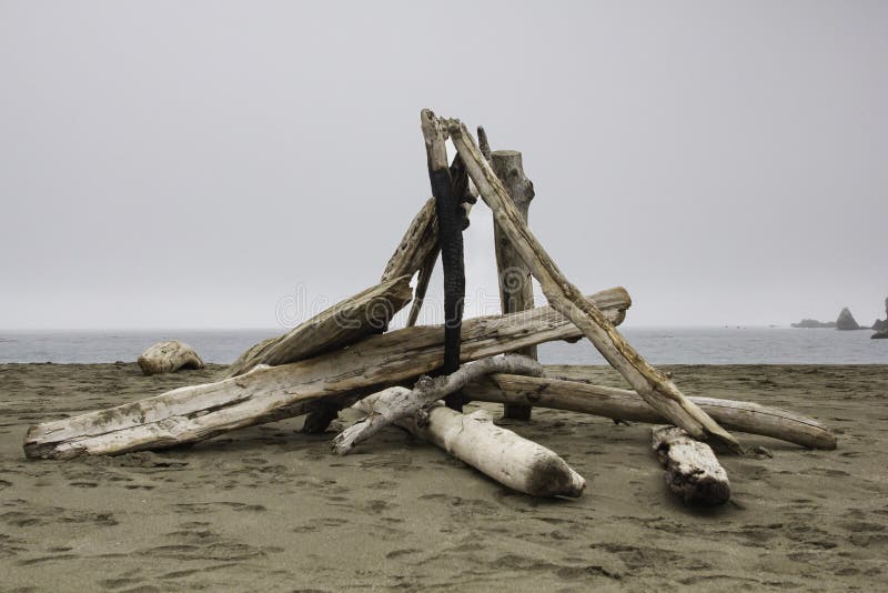 A Drift Wood Pile on a Beach Stock Image - Image of outdoors, scene ...