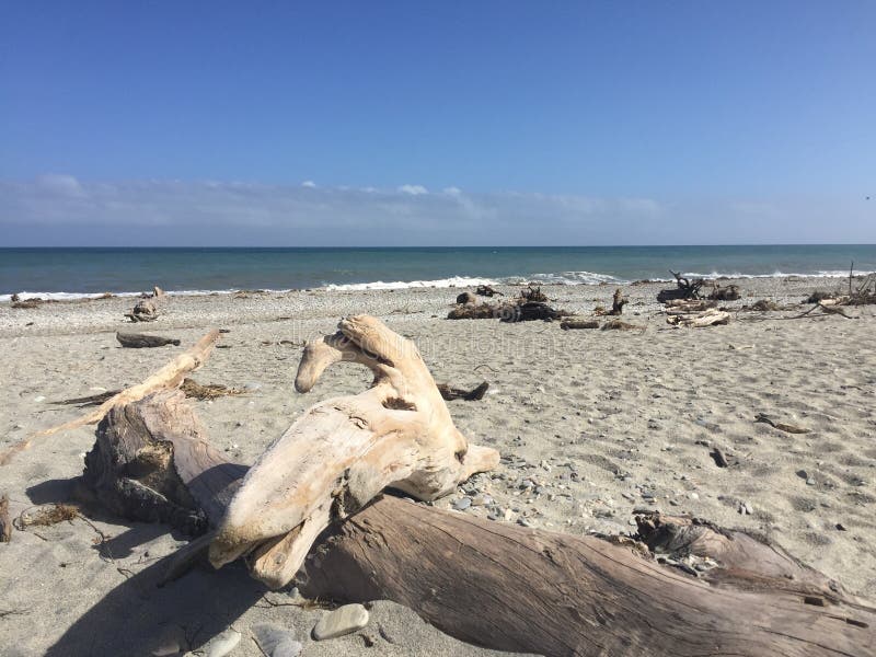 Driftwood on beach stock image. Image of vacation, waves - 70795481