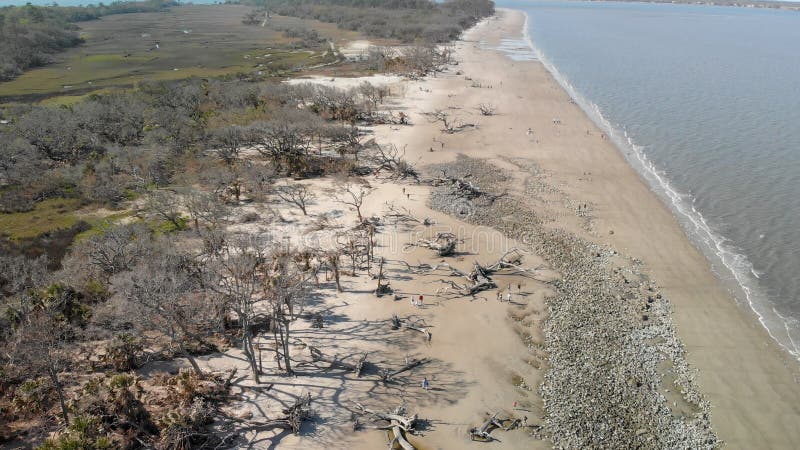 Driftwood Beach in Jekyll Island, Overhead View Stock Image - Image of ...