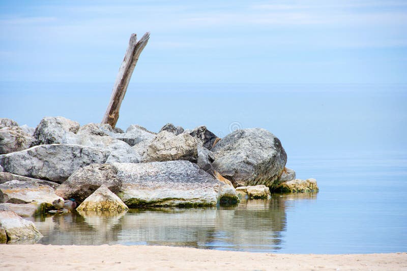 Driftwood Log in Beach Rocks with Blue Water Horizon Stock Photo ...