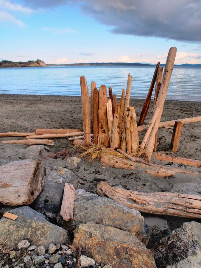 Driftwood on a Sandy Ocean Beach Stock Photo - Image of walkway, sand ...