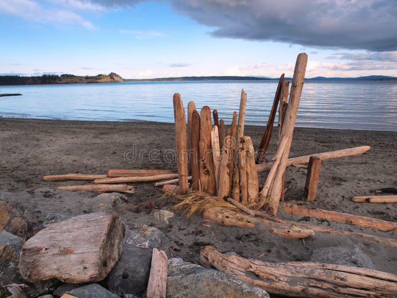 Driftwood on a Sandy Ocean Beach Stock Photo - Image of evening, rocks ...
