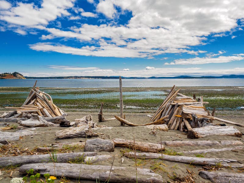 Driftwood on a Sandy Ocean Beach Stock Image - Image of driftwood ...