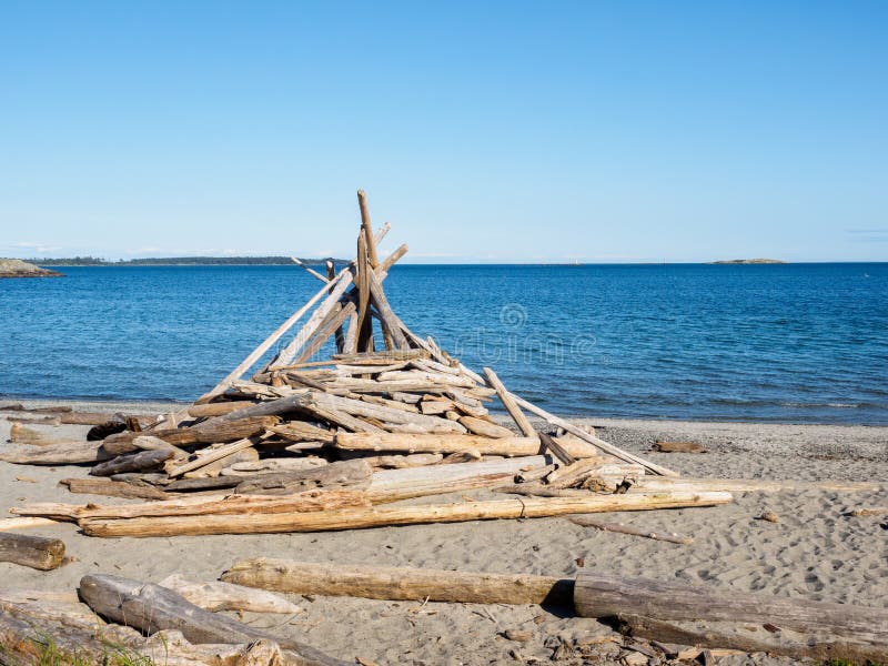 Driftwood on a Sandy Ocean Beach Stock Photo - Image of wood, sand ...