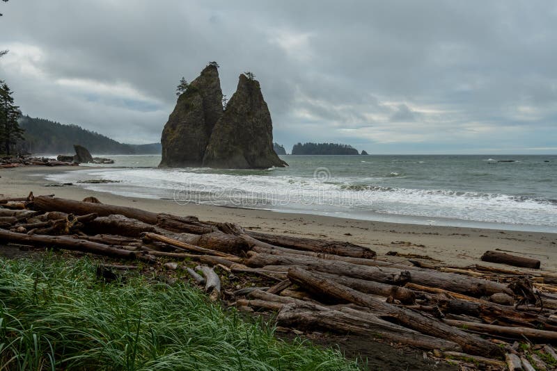 Driftwood Stacks On Rialto Beach Stock Image Image Of Vacation Waves