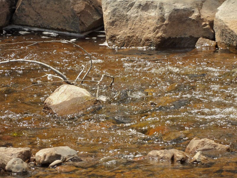Driftwood Stuck on the Rock in the River Stock Image - Image of ocean ...