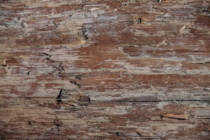 Telephone Pole Texture