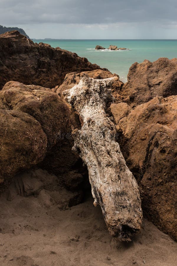 Driftwood on Volcanic Rocks Stock Photo - Image of rocks, ocean: 43474606