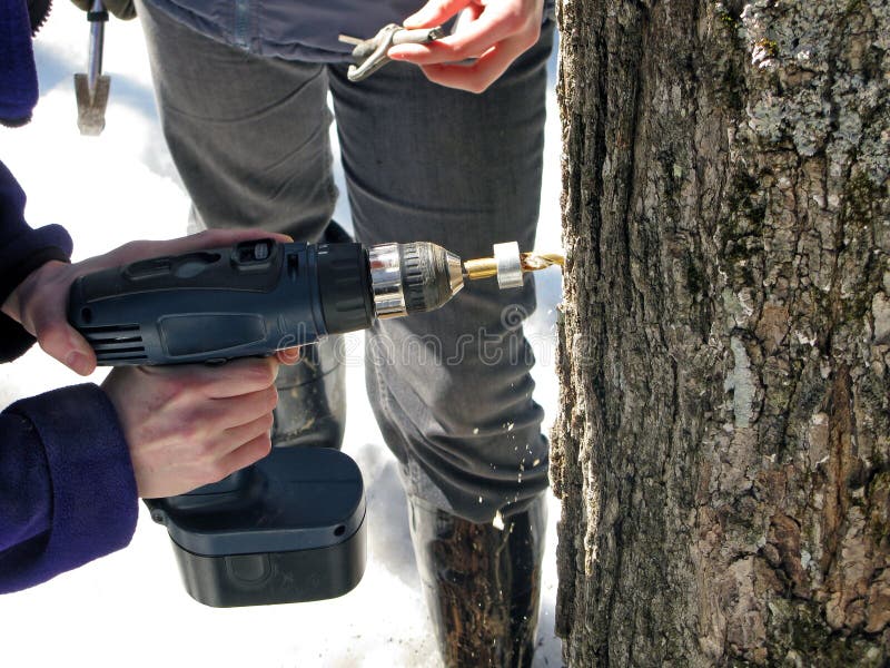 Tree and oil drilling rig stock photo. Image of black - 6895372