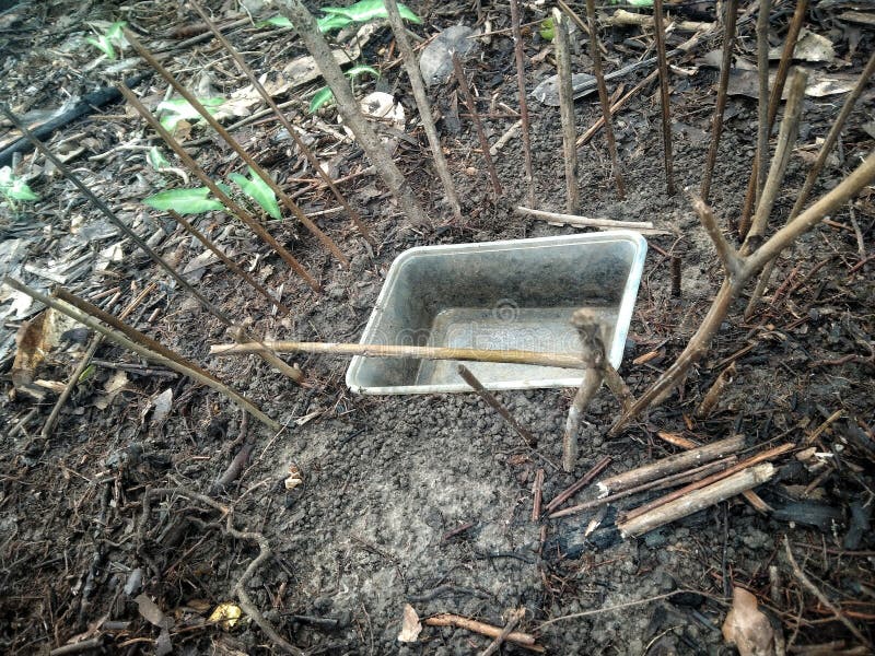 Traditional Small Birds Trap from Borneo Stock Image - Image of ...