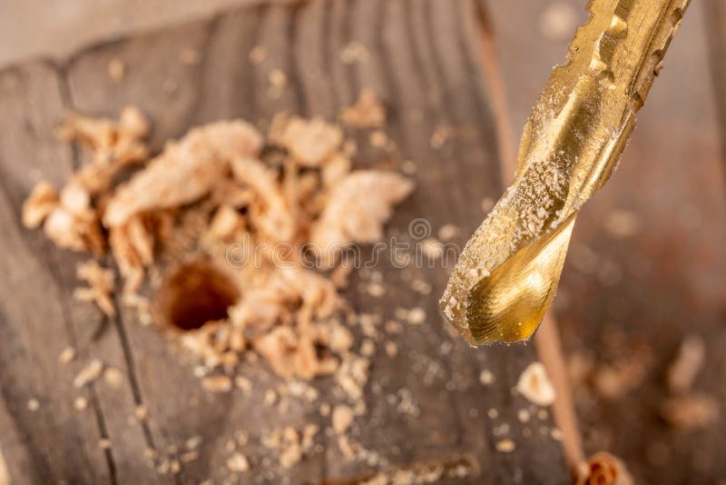 Drilling in Raw Wood. Small Carpentry Work in the Workshop Stock Image ...