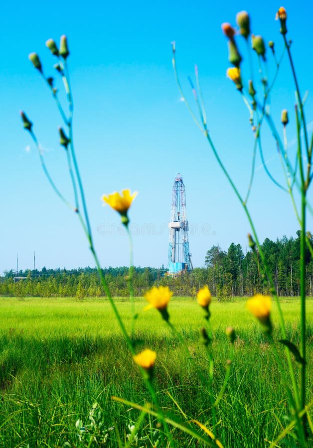 Drilling Rig among the Marsh Grass and Flowers . Stock Image - Image of ...