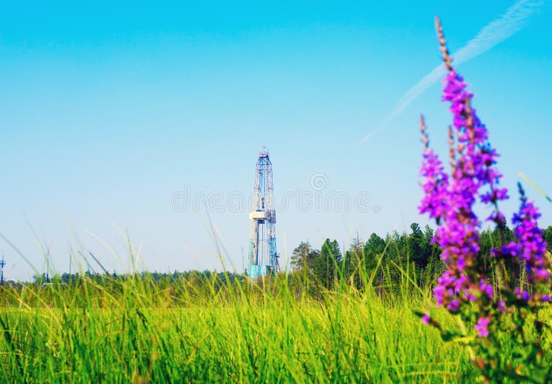 Drilling Rig among the Marsh Grass and Flowers . Stock Image - Image of ...