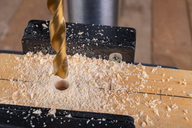 Drilling in Wood with Professional Tools. Work on a Bench Drill Stock ...