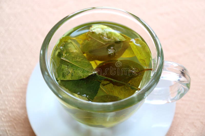 Drink Coca Leaf Tea for Preventing Altitude Sickness, Puno, Peru Stock ... Drink Coca Leaf Tea for Preventing Altitude Sickness, Puno, Peru Stock ...