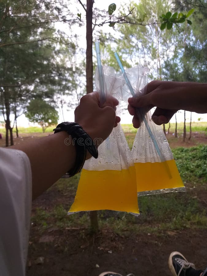 Drink Some Water at Magrove Beach Stock Photo - Image of drink, beach ...