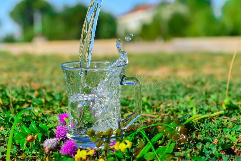 Clean and Drink To the Fullest with Healthy, Pure and Clean Natural ...