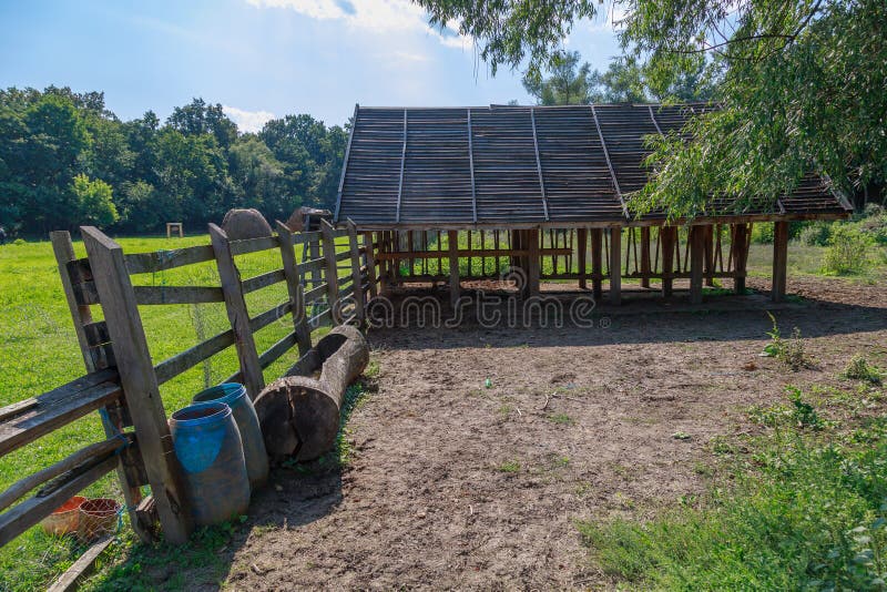 A Drinker Made from a Log for Animals and Cattle on a Farm. Background ...