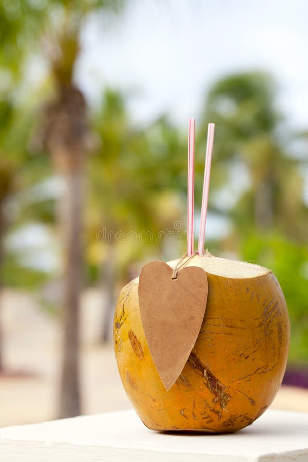 Drinking Coconut Paper Heart Tag Stock Photo - Image of refreshment ...