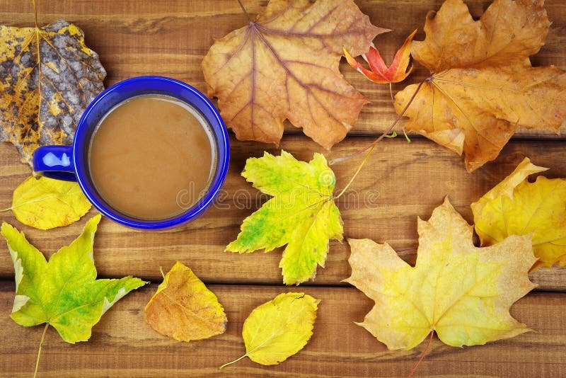 Drinking Coffee in the Fall Stock Image - Image of warm, leaves: 57640873