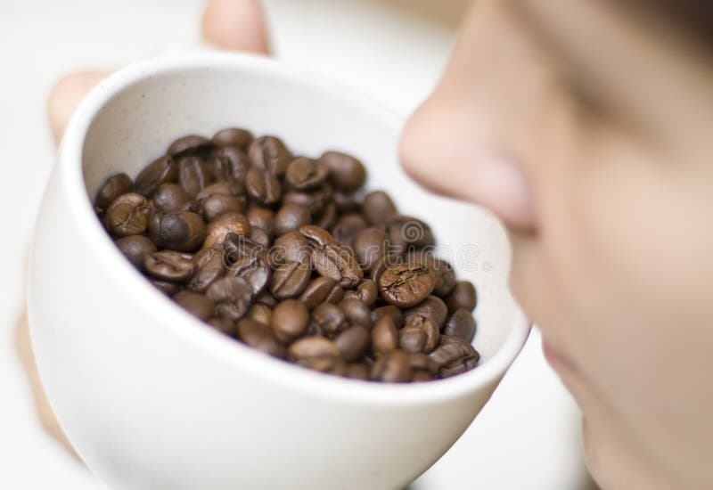 Real coffee stock image. Image of close, beans, beaker - 3764313
