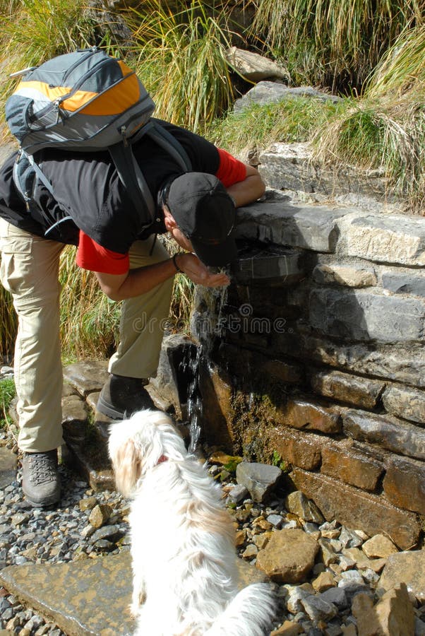 Drinking Refreshing Spring Water Stock Image - Image of trekking ...
